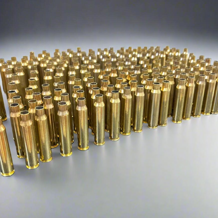 223 5.56 Polished Brass Shells Empty Spent Bullet Casings Used Cleaned ...