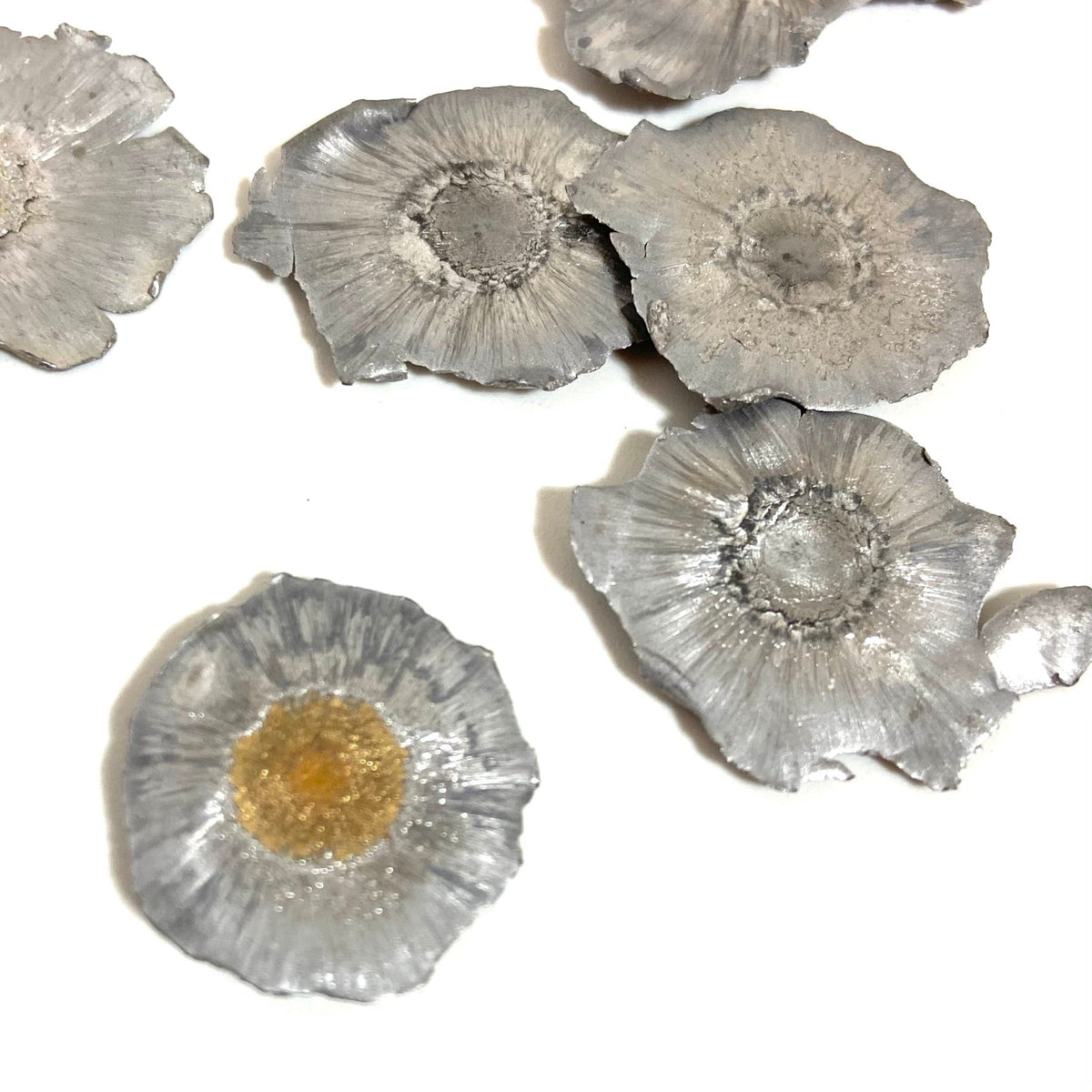 45 ACP Fired Bullets Fragments Splatter Slices Shrapnel Used Ammo Spen ...