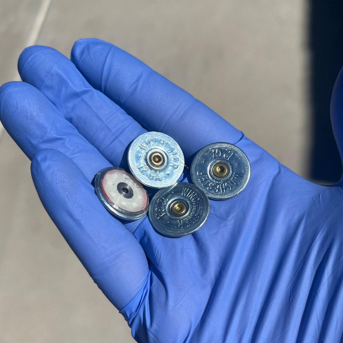 Thin Cut Winchester 12 Gauge Shotgun Shell Slices | Perfect for Crafts ...